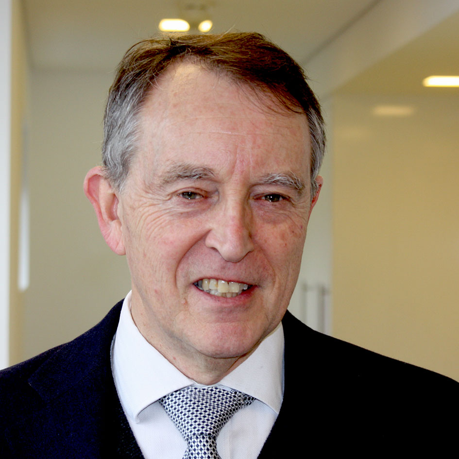 INTOSAI Capacity Building Committee | David Goldsworthy